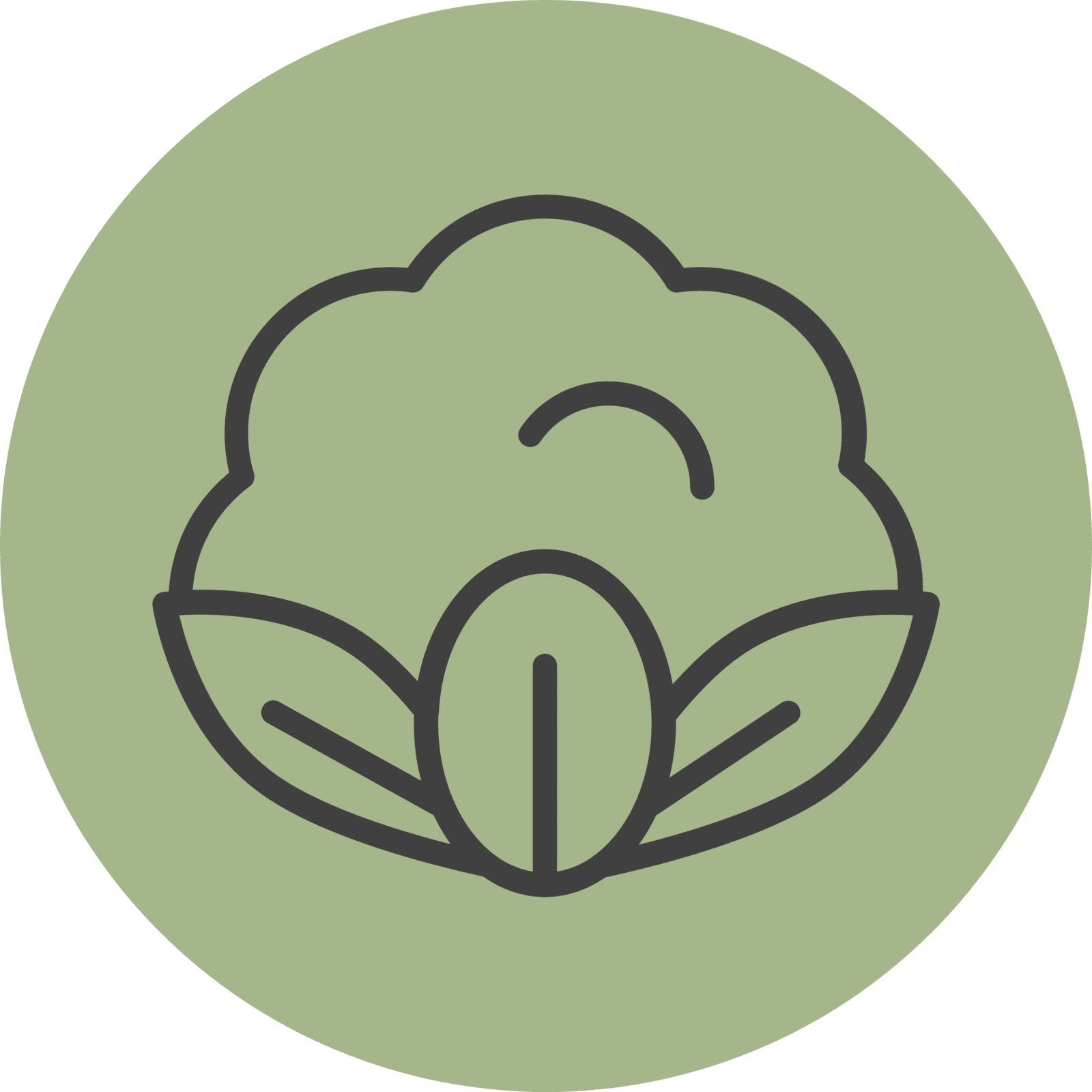 Rosacea Diet 101: Best Foods Swaps to Avoid Skin Flare-ups